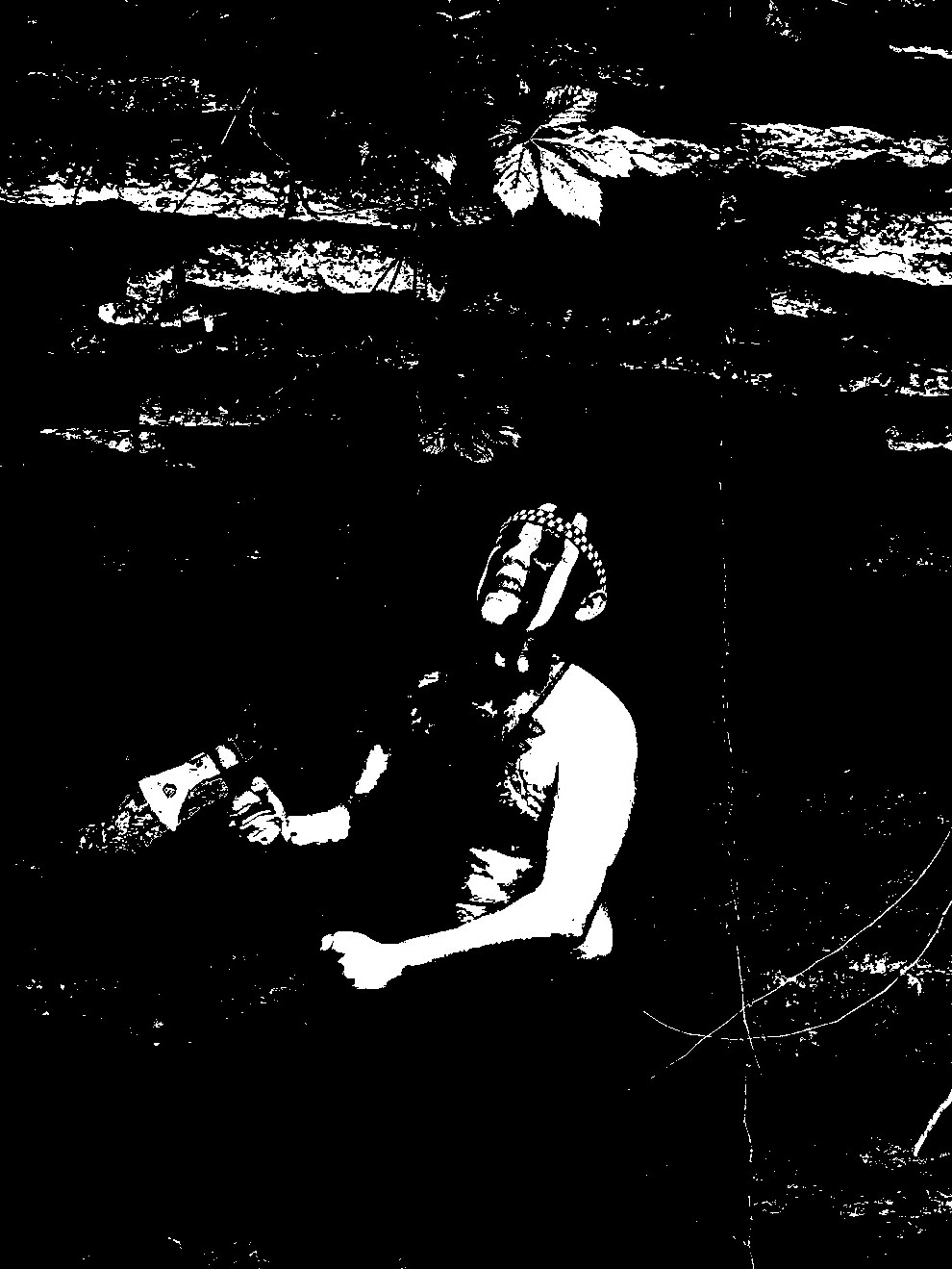 Album Stream + Interview: Pan-Amerikan Native Front - Little Turtle’s ...