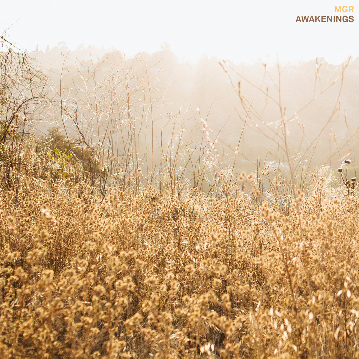 Full Album Stream: MGR – "Awakenings" - Decibel Magazine